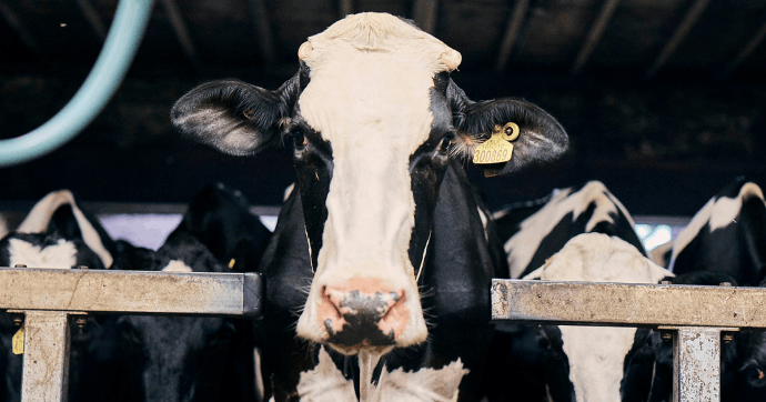 Müller and Lidl GB relaunch fixed price option for supplying farmers ...