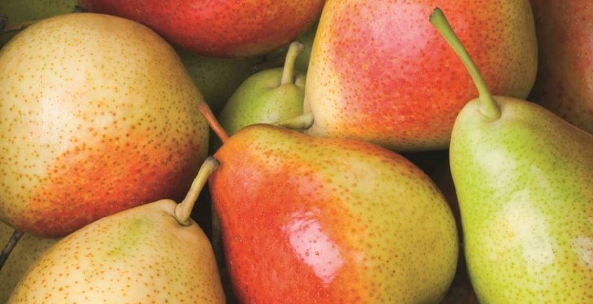 Pesticide Reduction - Lidl Great Britain