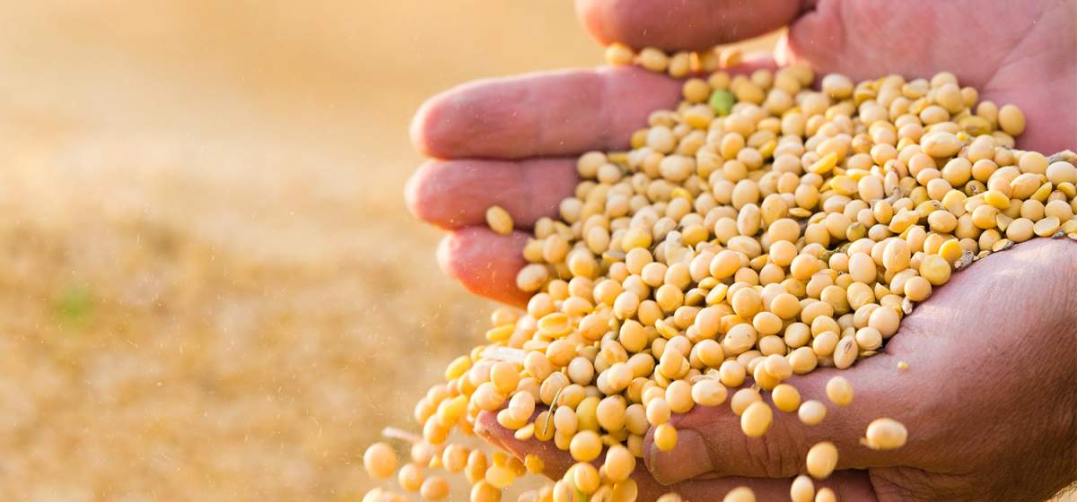 Soja durable - Lidl Luxembourg