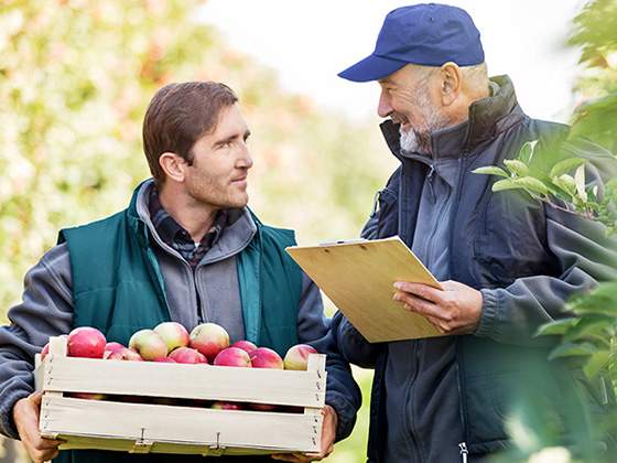 Collaborazione con i partner commerciali - Lidl Italia