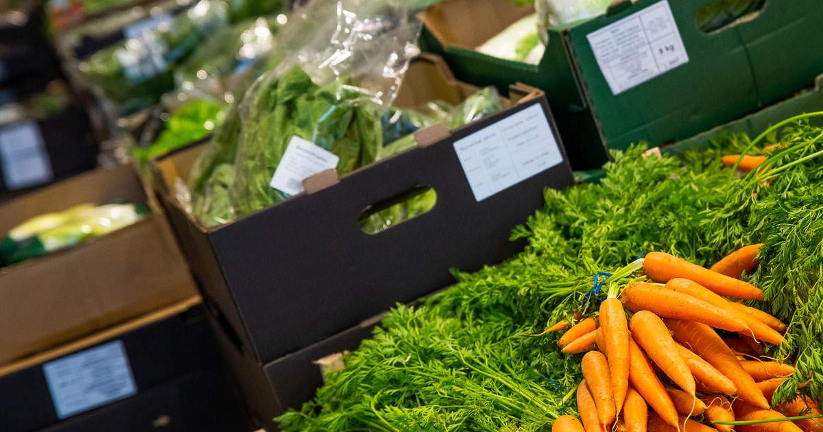 Tvarus maisto atliekų perdirbimas: kaip biodujų gamyba prisideda prie aplinkos tausojimo - Lidl ...