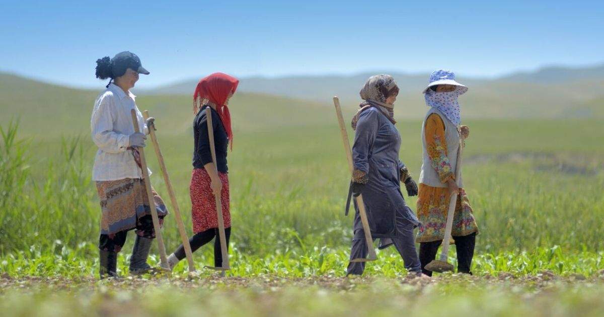 LIDL GB IS THE FIRST UK RETAILER TO CONVERT ALL STORE TEAM UNIFORMS TO ...