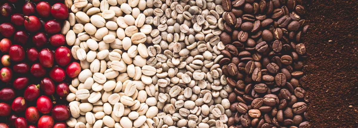 Raw Materials - Lidl Cyprus