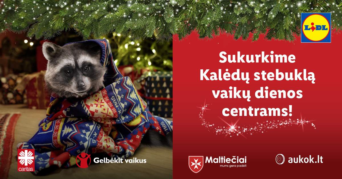 „lidl“ Skelbia Kalėdinį Paramos Projektą Surinkta Parama Vaikams